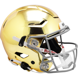 Notre Dame Fighting Irish Authentic Speedflex | Authentic Full Size ...